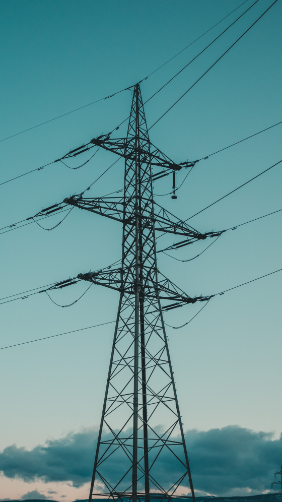 Transmission capacities for cross-zonal electricity trade and grid ...